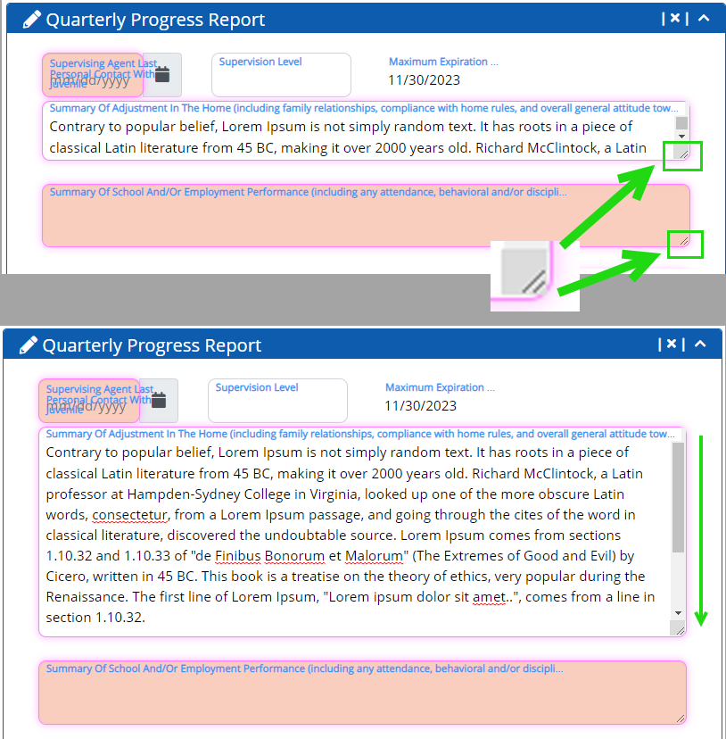 TOS Tool Tip: Expand the HE & QPR Report Input Box – ICJ Help Center